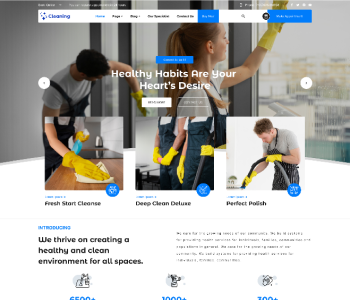 Free Cleaning WordPress Theme | Create Cleaning Service Site
